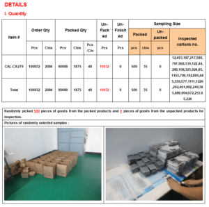 Pre-shipment Inspection Report - China Inspection Service- China ...